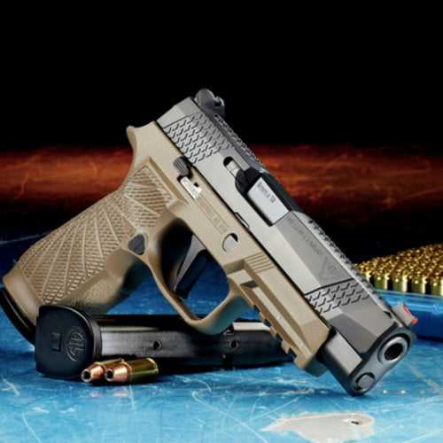 Key Safety Factors to Consider Before Bringing Guns into Your Home ...