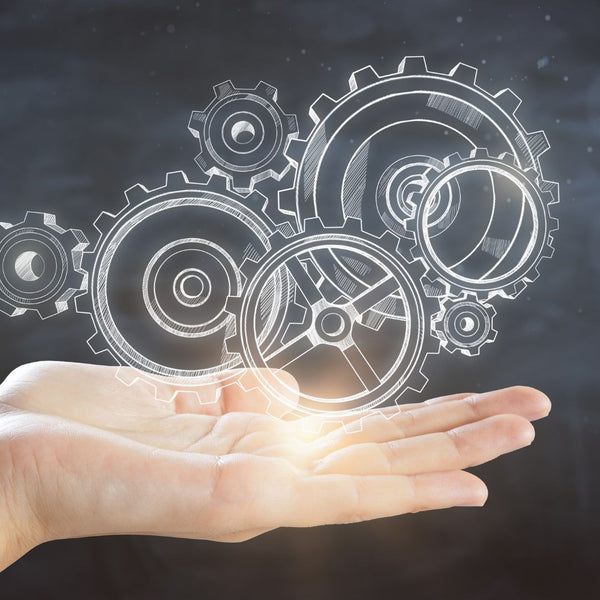 Understanding Crowdloans Mechanism in Polkadot (DOT) - LIFESTYLE BY PS