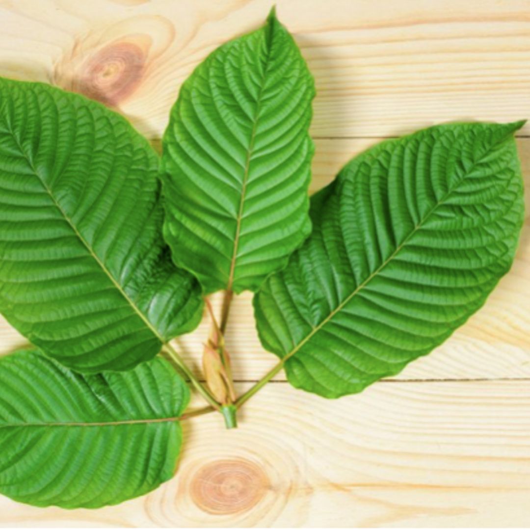 Health Benefits Of Using Kratom: A Complete Guide – LIFESTYLE BY PS