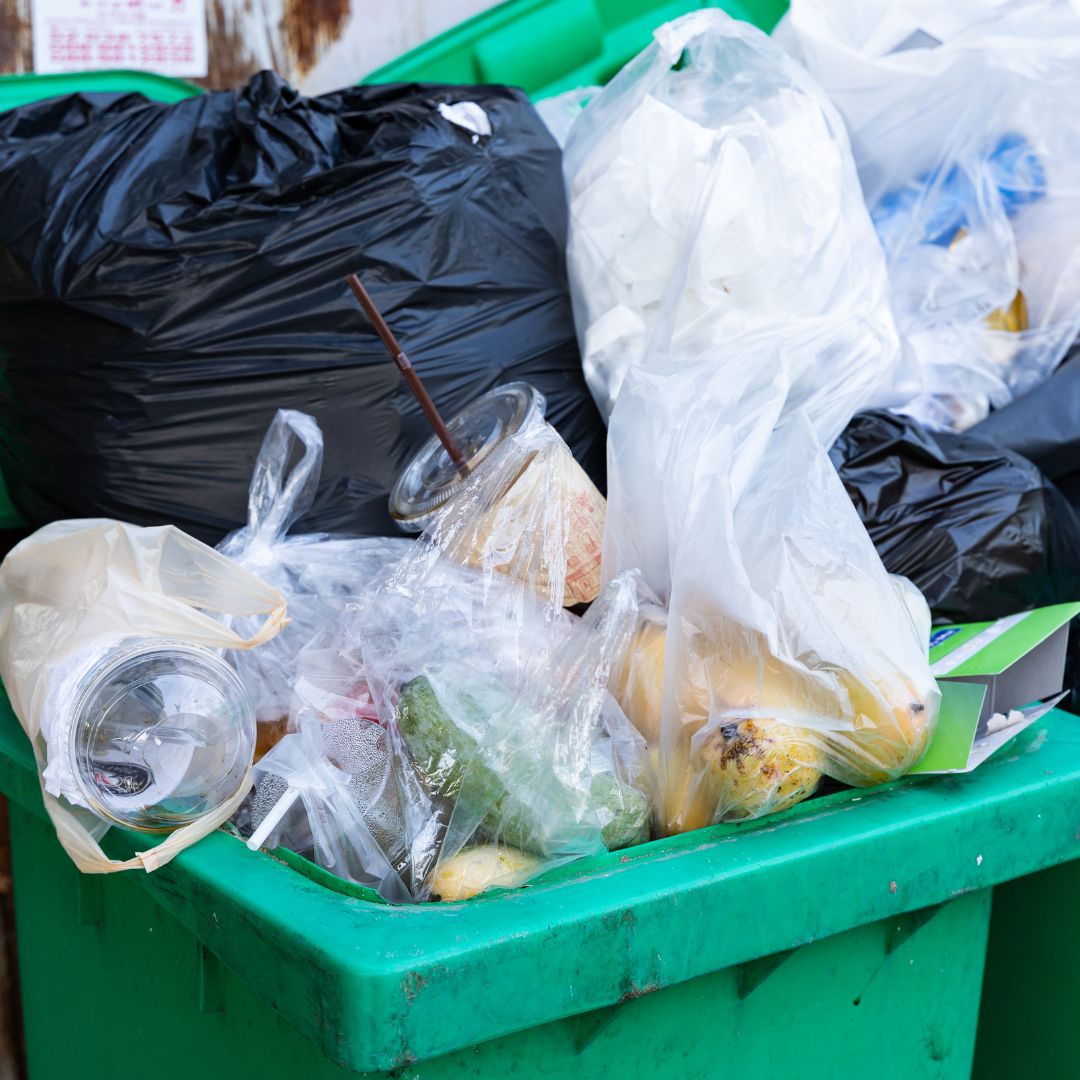 How to Efficiently Manage Household Trash - LIFESTYLE BY PS