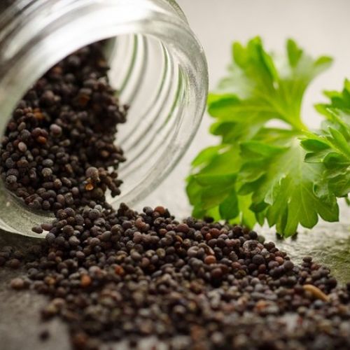 Role of Poppy Seed Flushing in IVF Treatment – LIFESTYLE BY PS