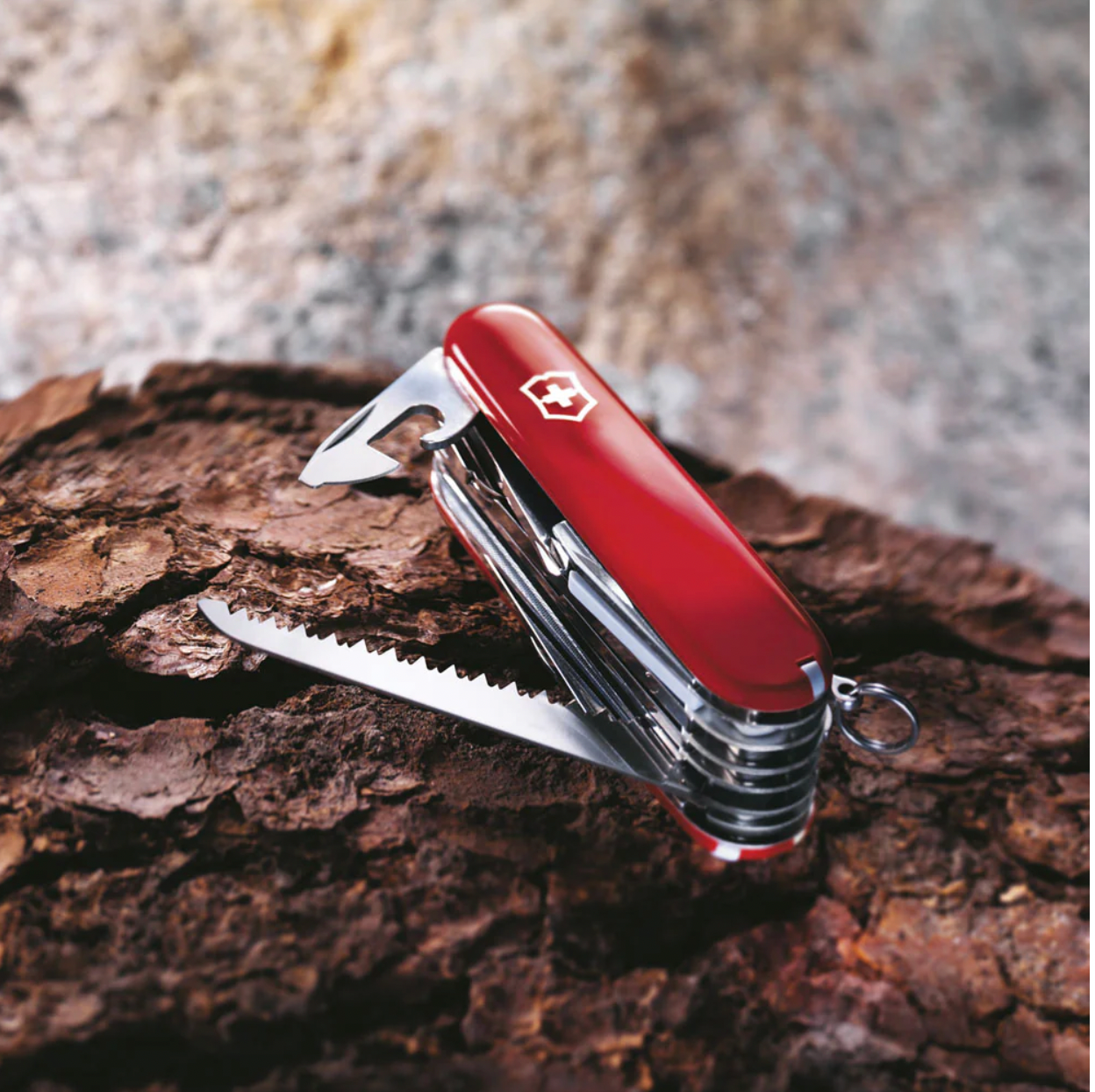 Invest in Quality That Lasts: Exploring the Victorinox Collection ...