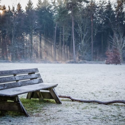 How You Can Make the Most of Time by Yourself – LIFESTYLE BY PS